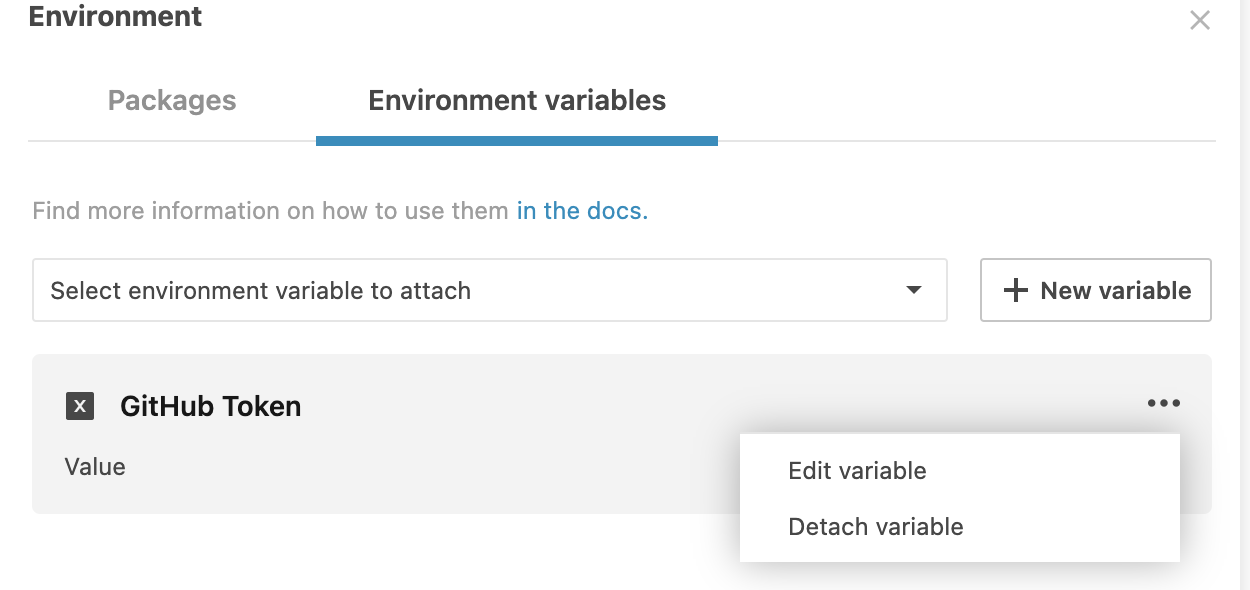Environment Variables Datalore Documentation