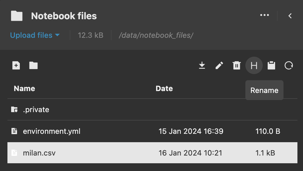Manage files attached to a notebook | Datalore Documentation