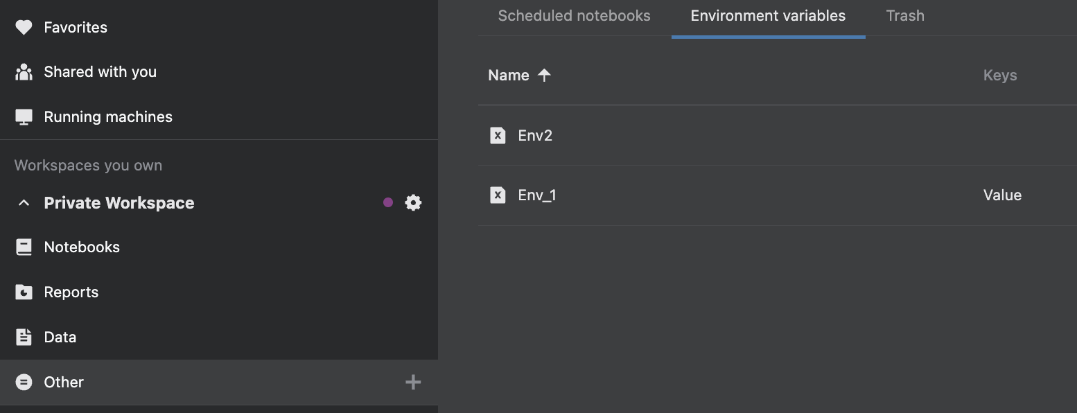 Manage Environment Variables In A Workspace Datalore Documentation