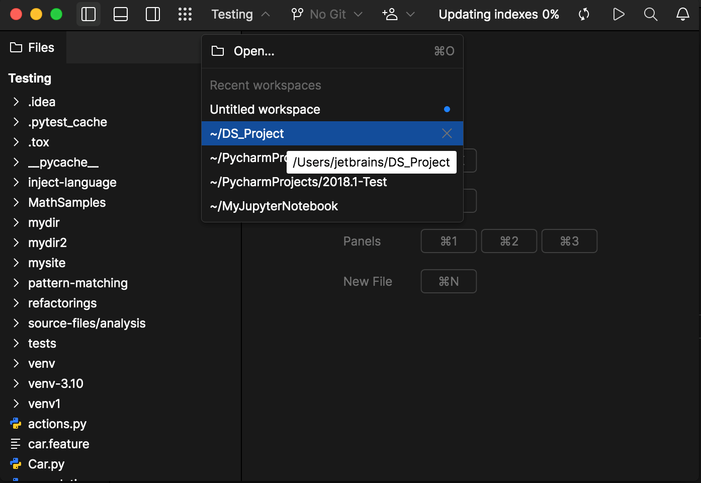 Getting started with Python | JetBrains Fleet Documentation