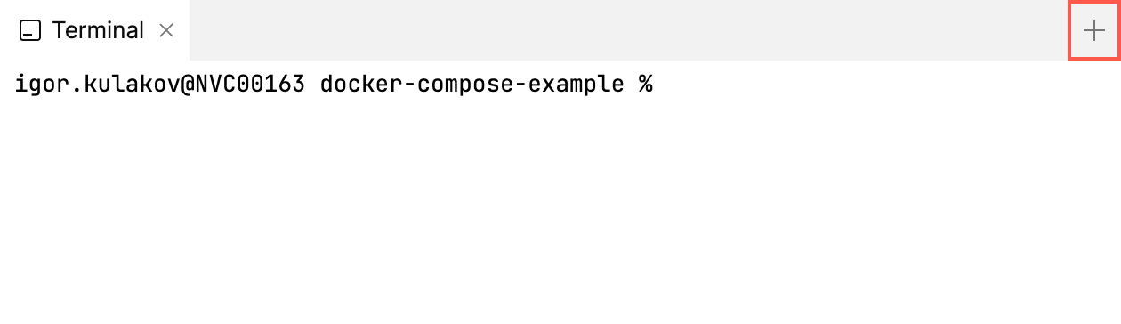 Terminal | JetBrains Fleet Documentation