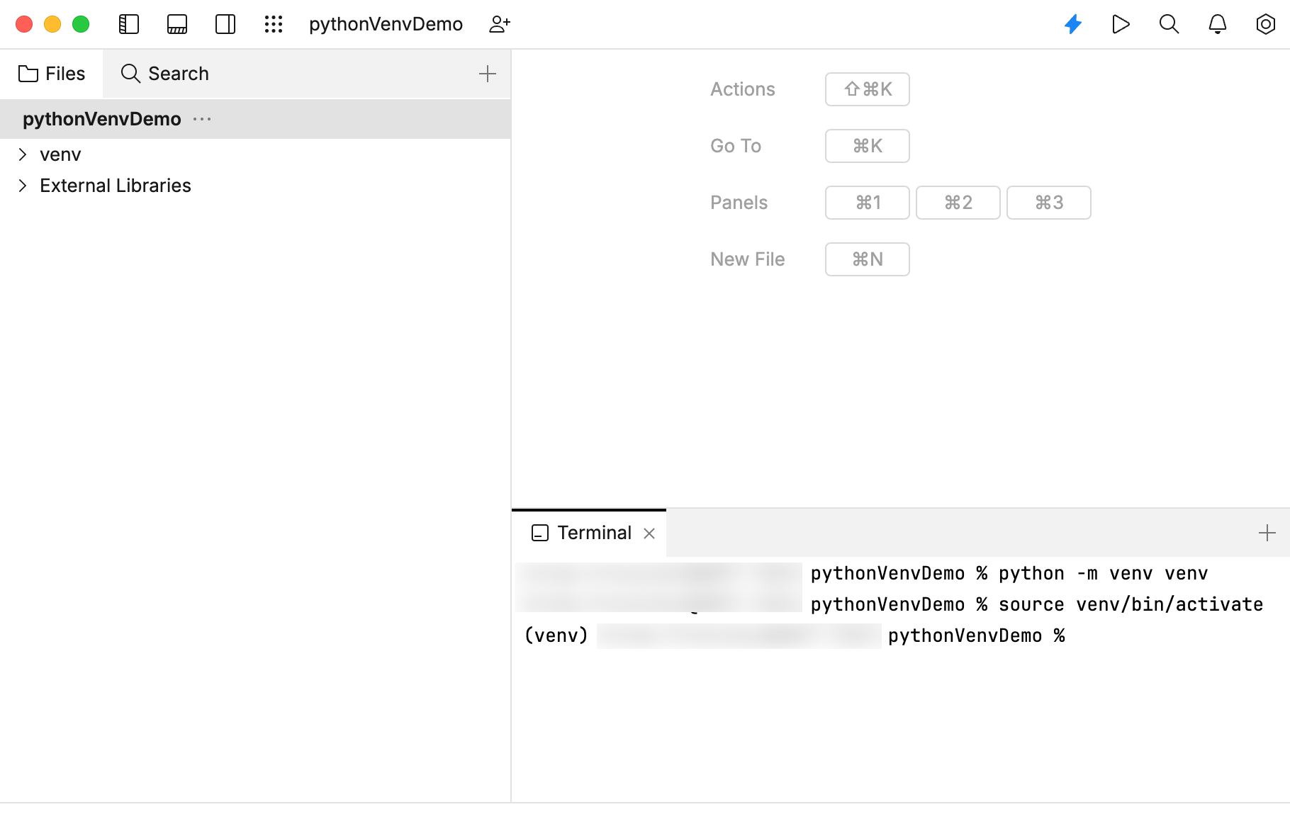 Running code using a virtual environment | JetBrains Fleet Documentation
