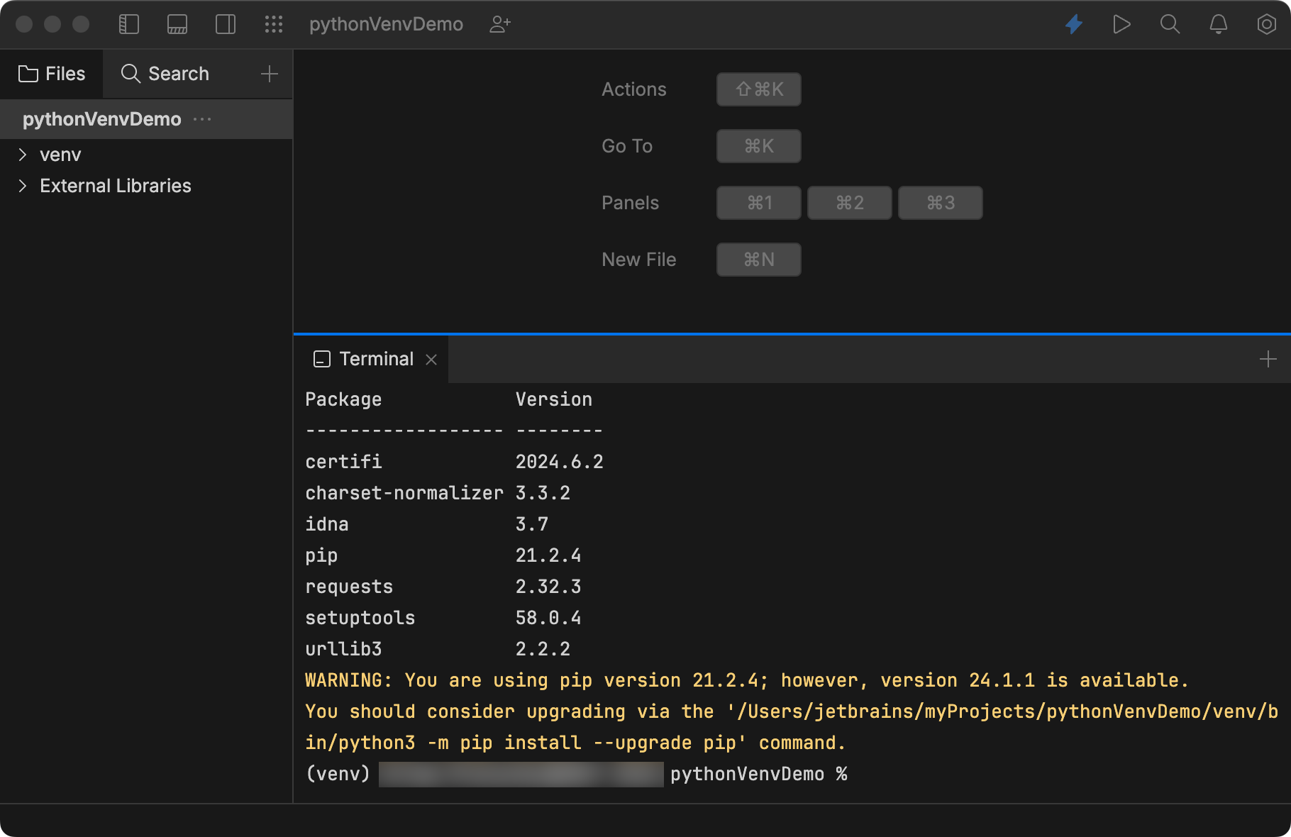 Running code using a virtual environment | JetBrains Fleet Documentation