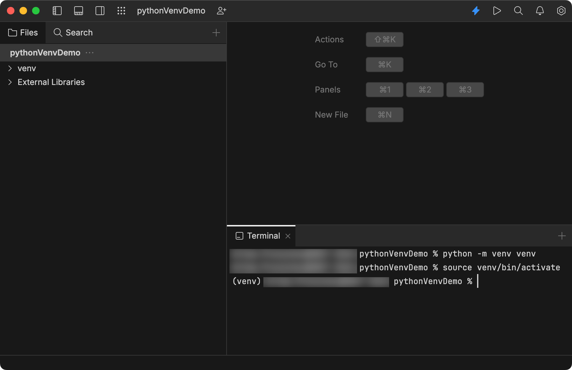 Running code using a virtual environment | JetBrains Fleet Documentation