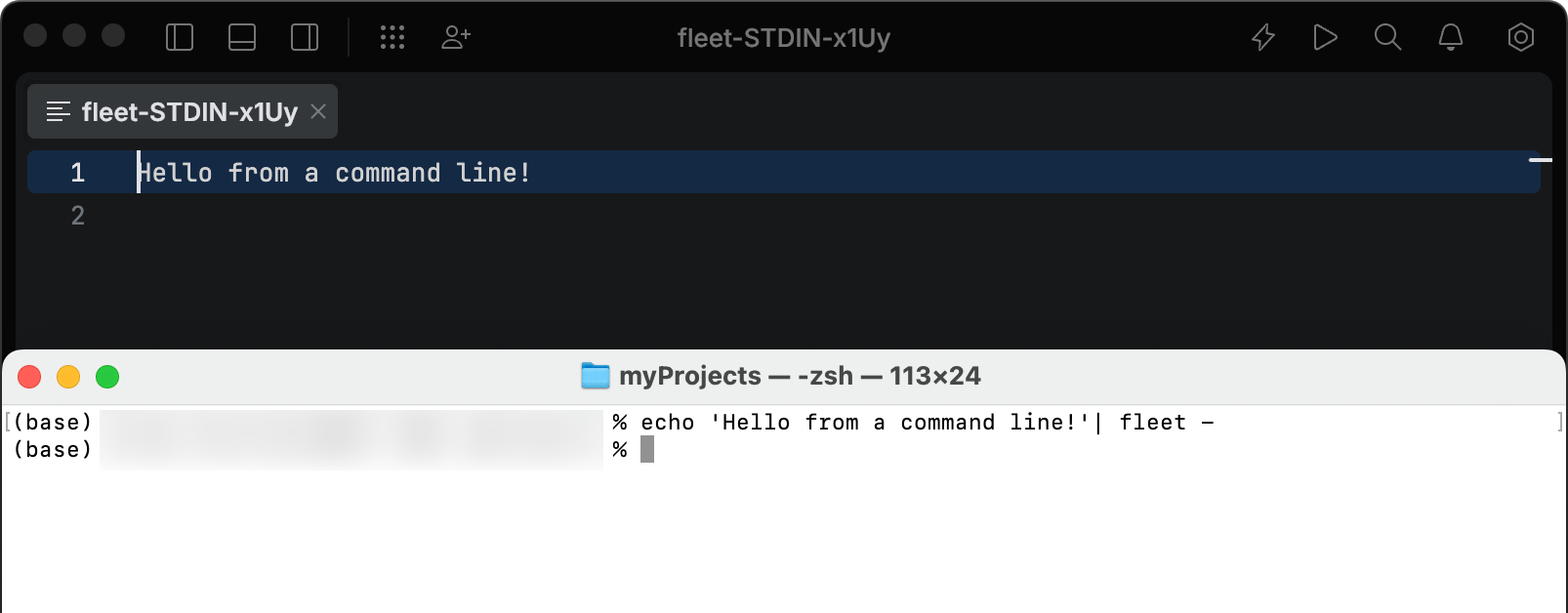 Launch JetBrains Fleet from CLI | JetBrains Fleet Documentation