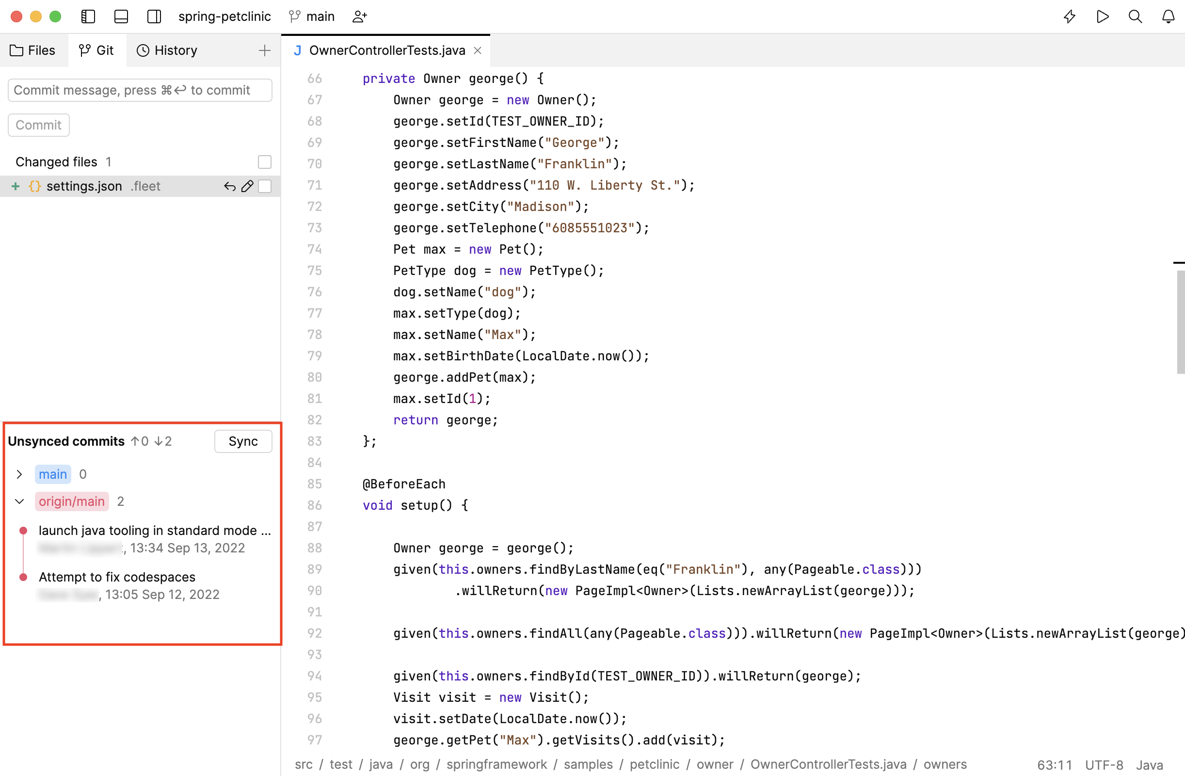 Synchronizing with a remote Git repository | JetBrains Fleet Documentation