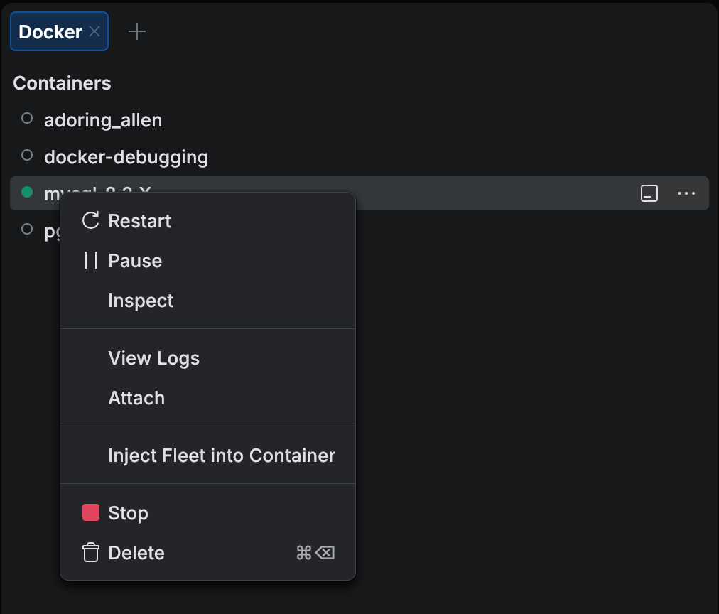 Docker Containers Jetbrains Fleet Documentation