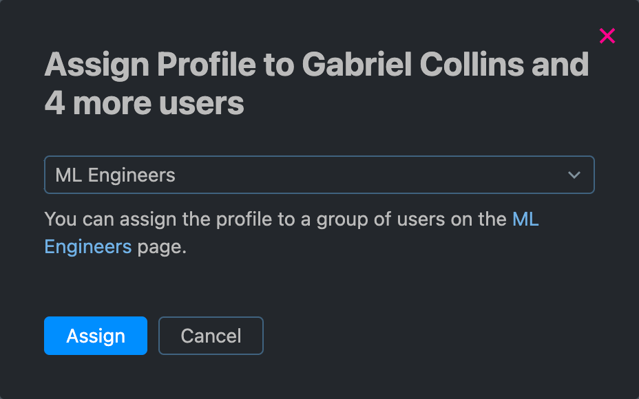 Assign profiles | IDE Services Cloud Documentation