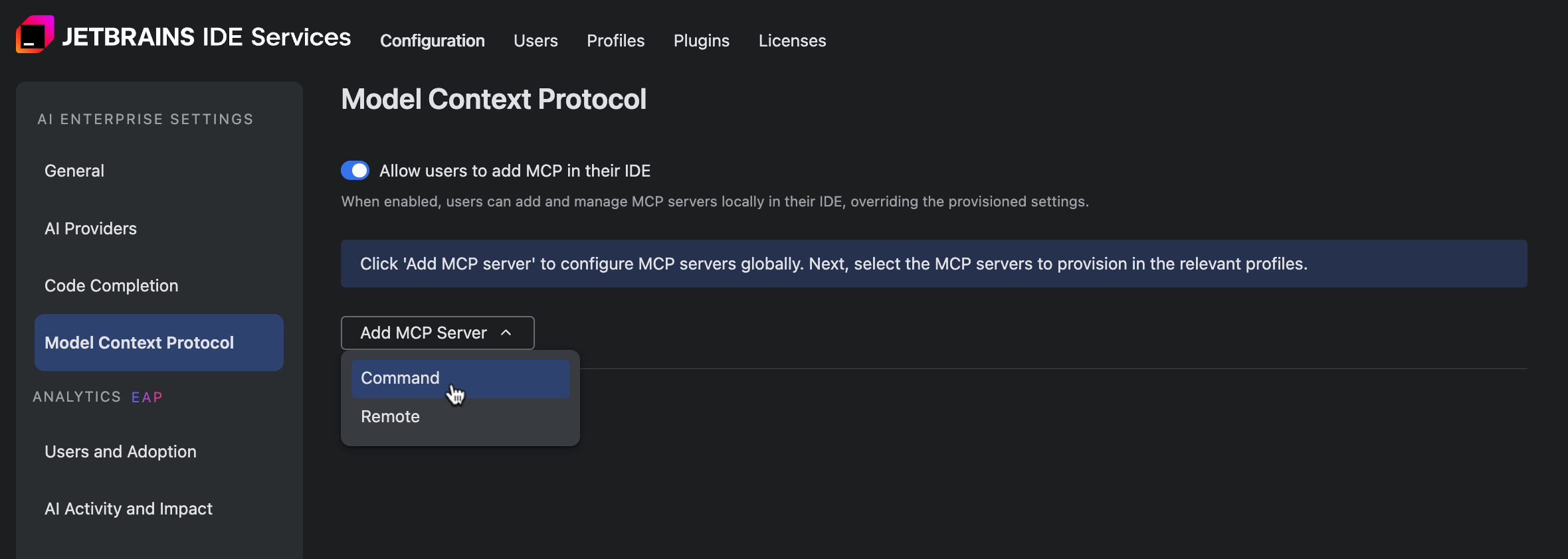 Manage AI Enterprise | IDE Services Documentation