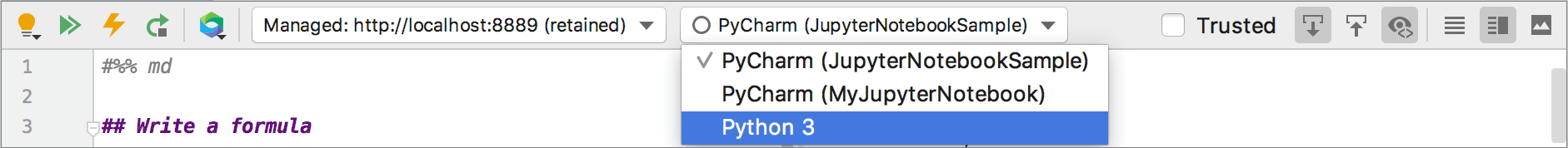 Manage Jupyter notebook servers - Help | PyCharm
