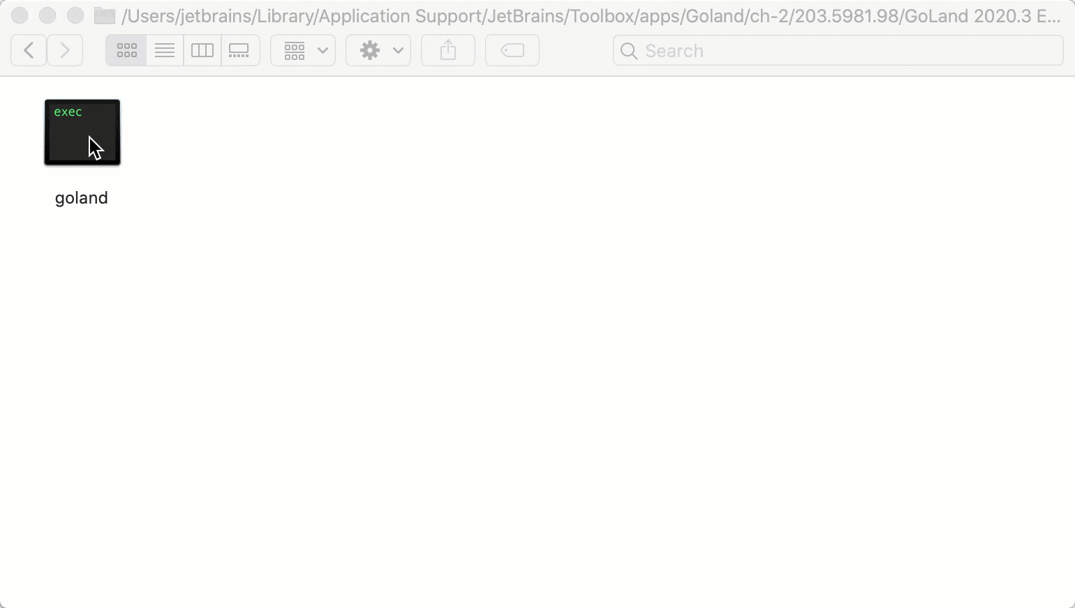 The IDE does not respond | GoLand