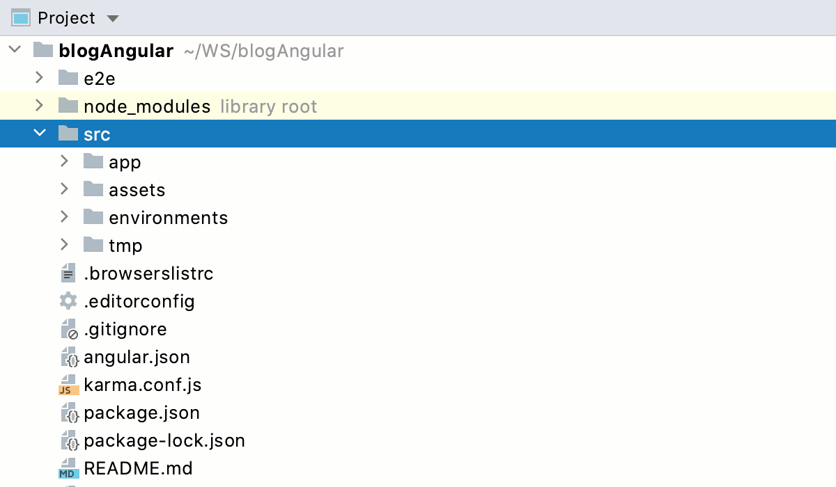Angular | IntelliJ IDEA