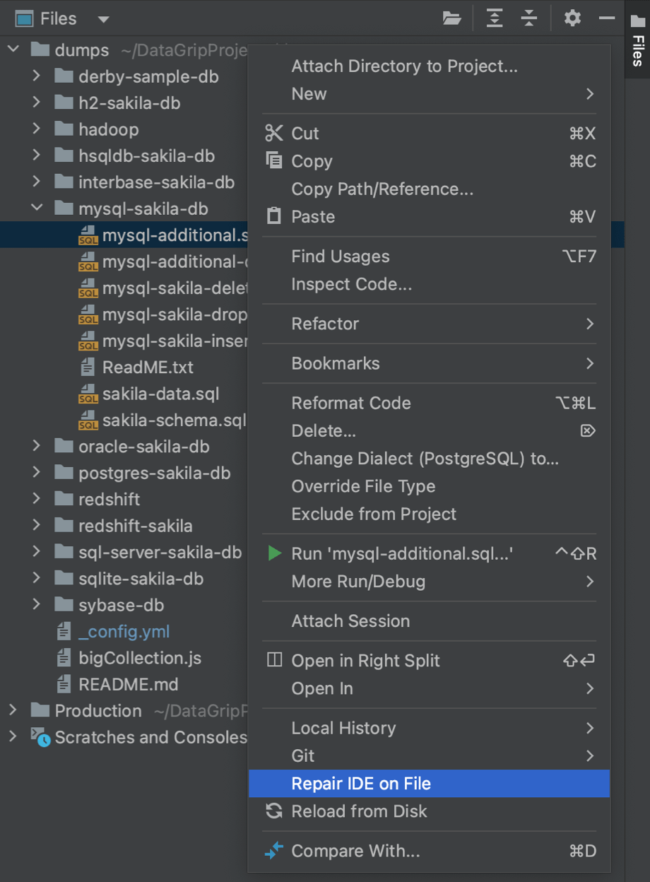 Repair IDE | DataGrip Documentation