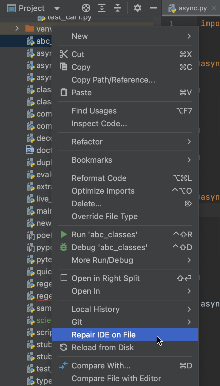 Repair IDE | PyCharm Documentation