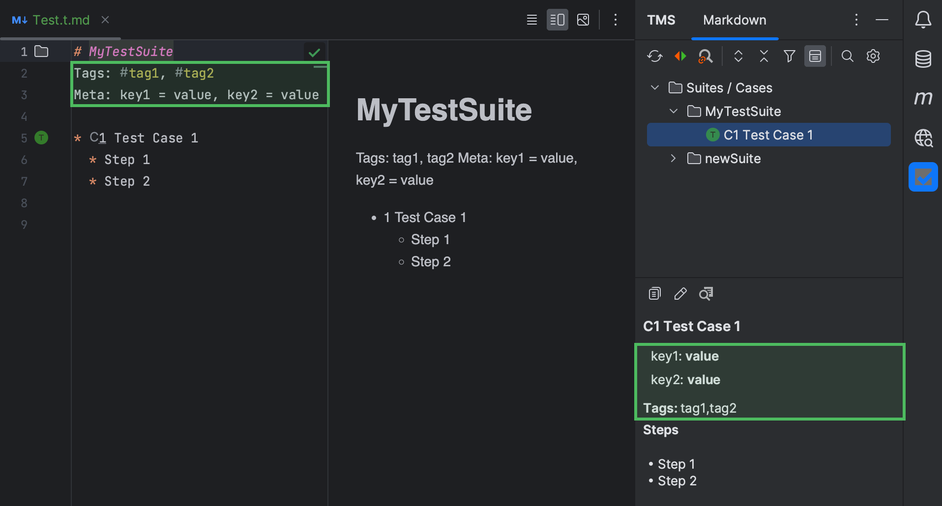 Local TMS | IntelliJ IDEA Documentation