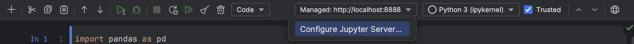 Manage Jupyter notebook servers | PyCharm Documentation
