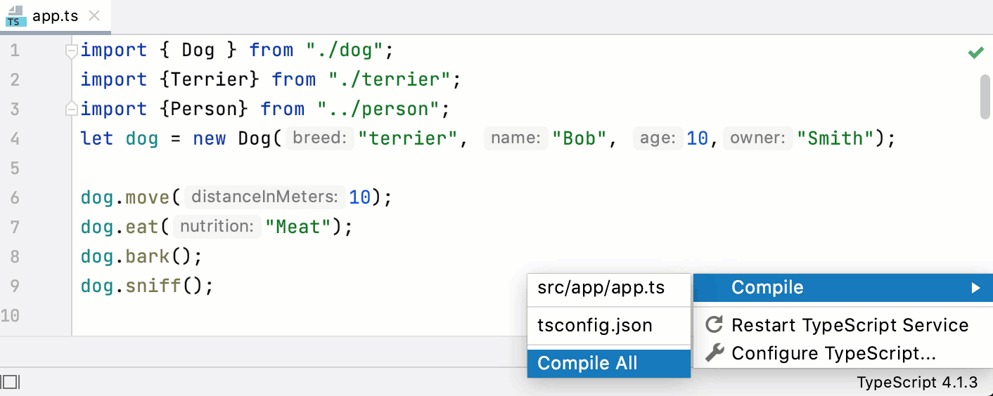 Compiling TypeScript Into JavaScript Aqua Documentation