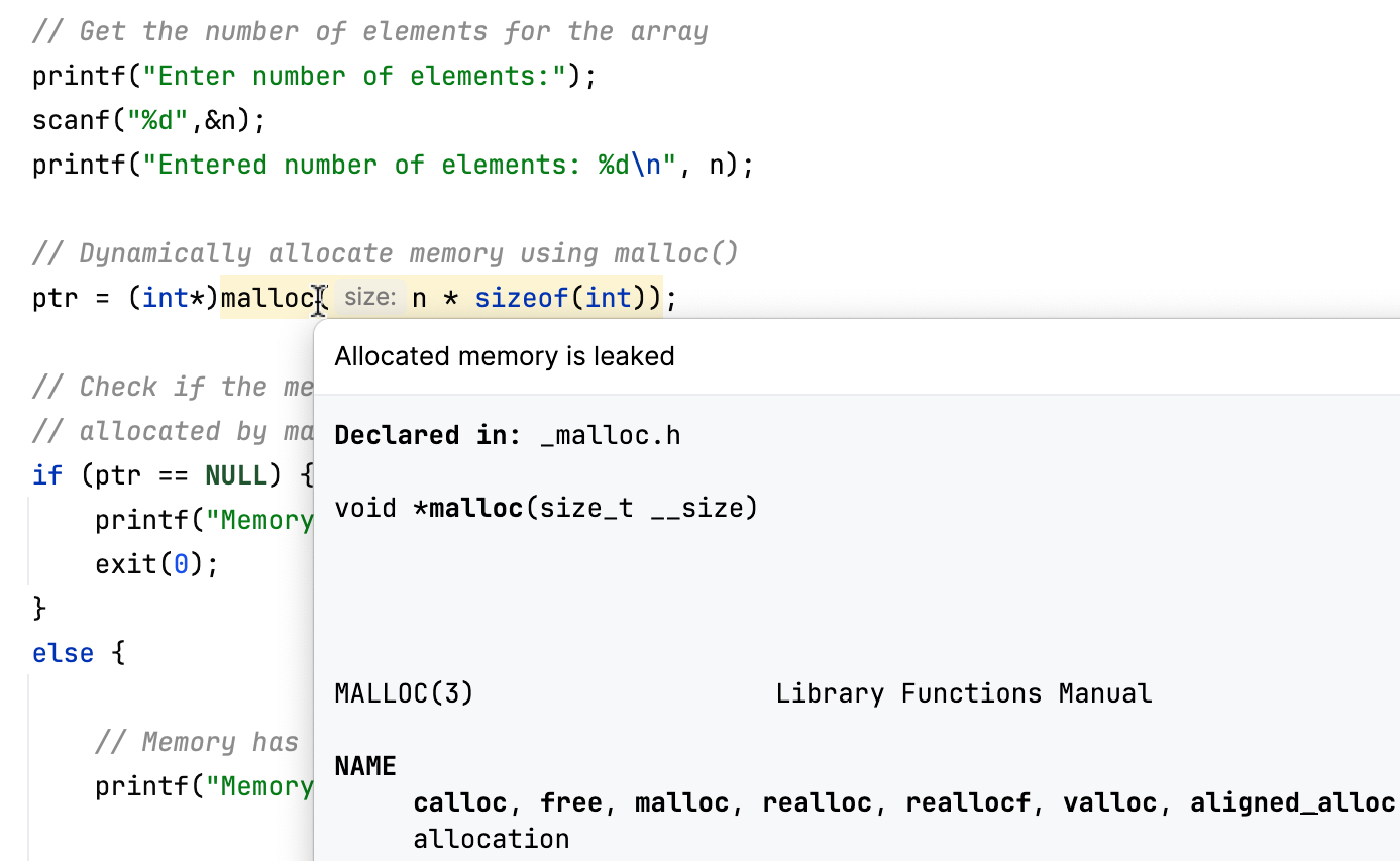 Inspection Memory Leak CLion Documentation