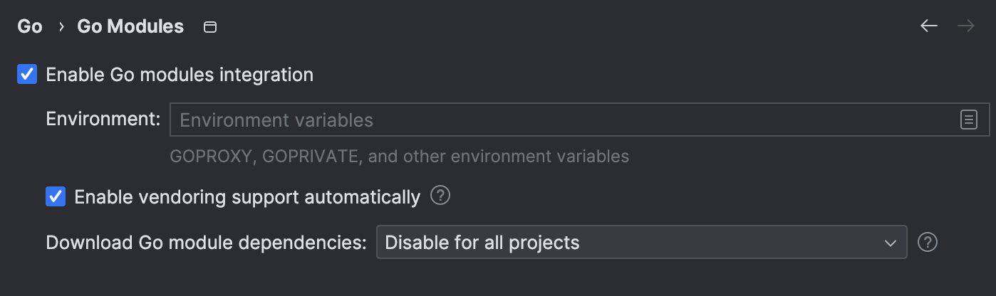 Build constraints and vendoring | GoLand Documentation