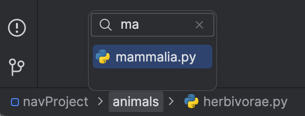 Part 4. Use the navigation bar | PyCharm Documentation