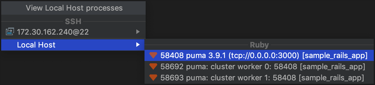 Attach to process | RubyMine Documentation