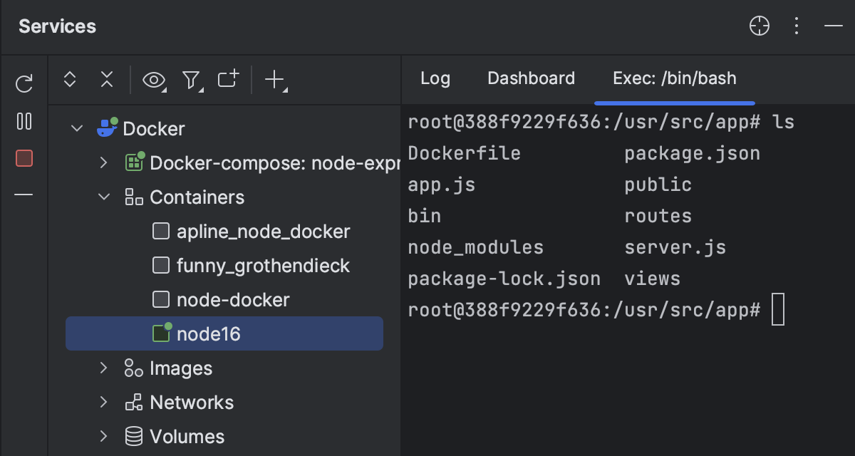 Docker containers | WebStorm Documentation