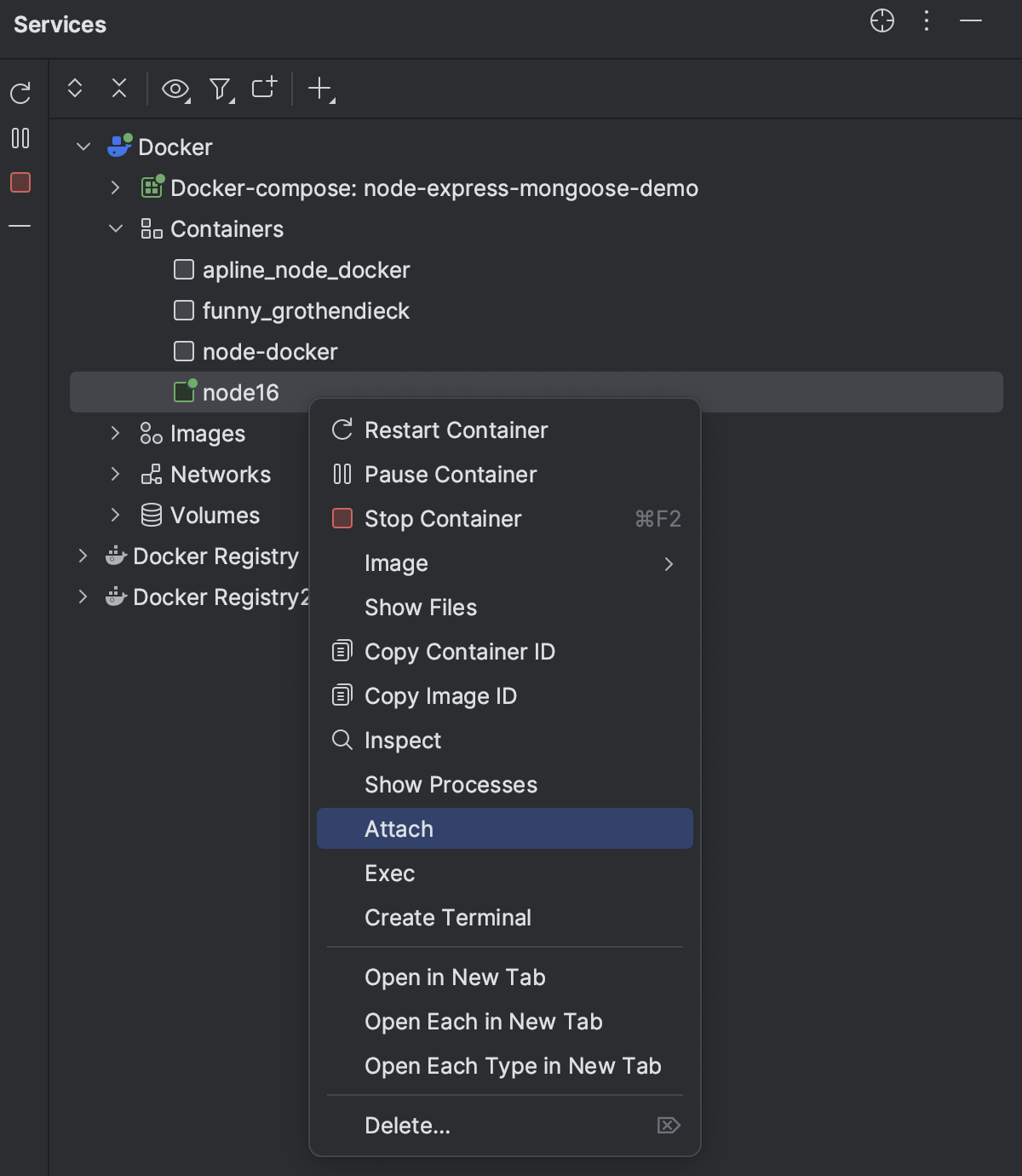 Docker containers | WebStorm Documentation