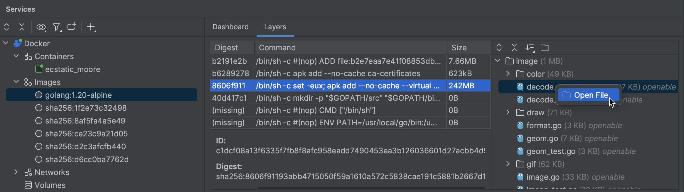 Docker images | GoLand Documentation