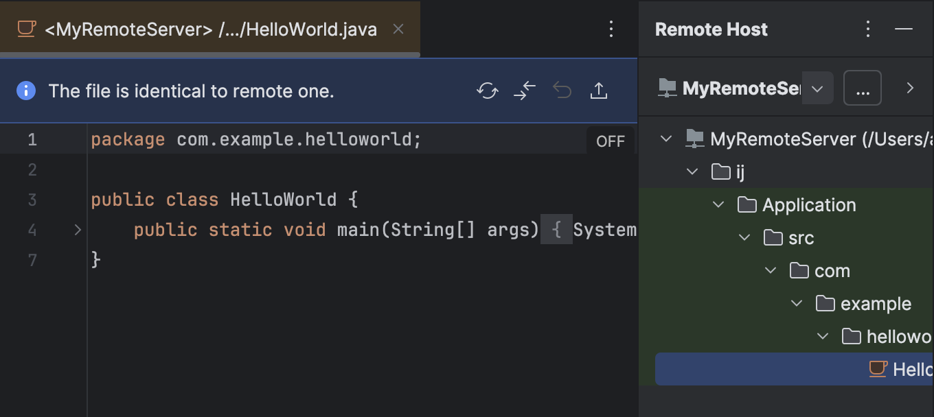 Edit individual files on remote hosts | IntelliJ IDEA Documentation