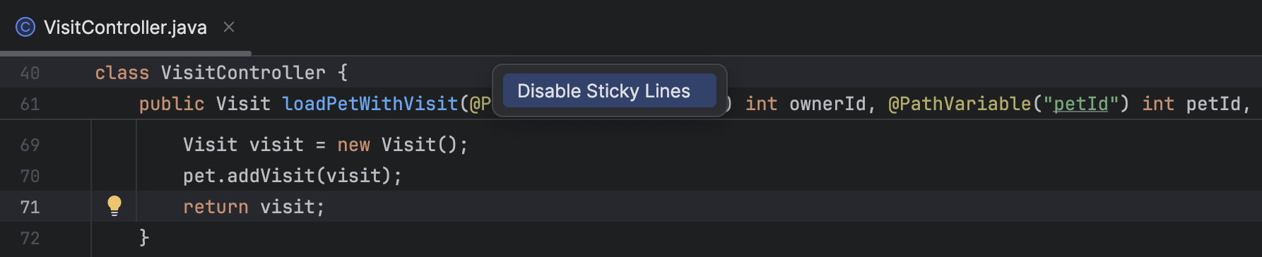 Sticky lines | IntelliJ IDEA Documentation