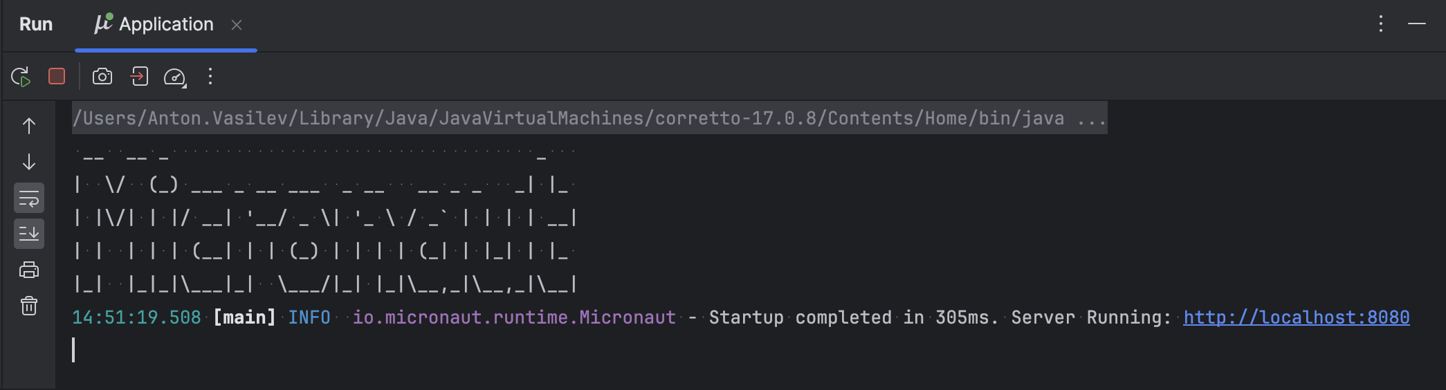Micronaut | IntelliJ IDEA Documentation