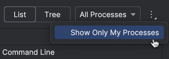 Attach to process | RustRover Documentation