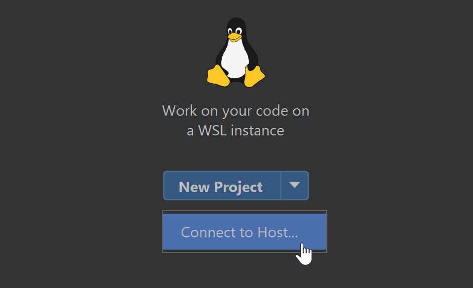 Connect to a remote server from RustRover | RustRover Documentation