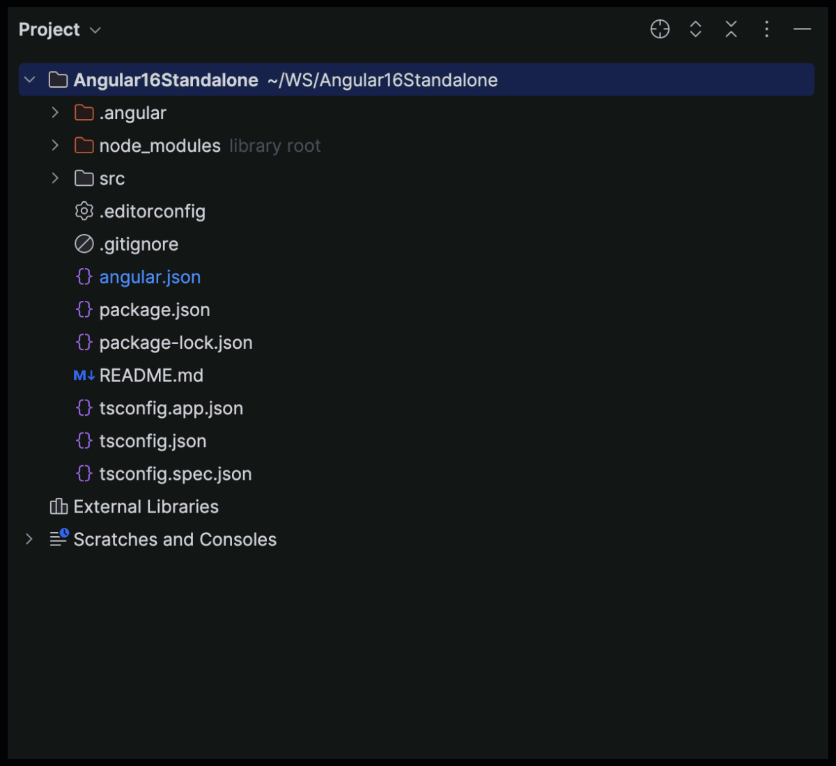 Angular | CLion Documentation