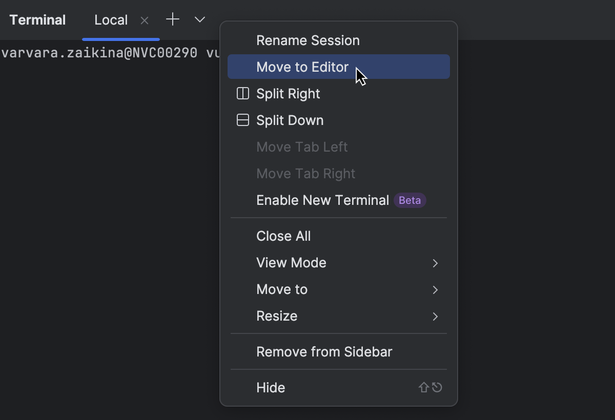Terminal Webstorm Documentation