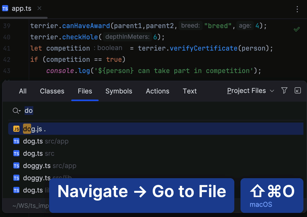 Presentation Assistant | WebStorm Documentation
