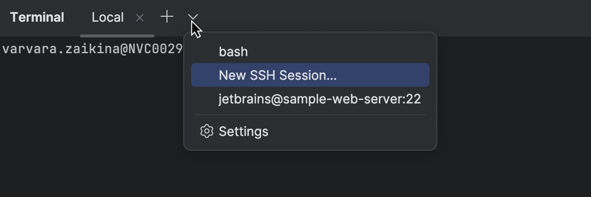 Terminal Webstorm Documentation