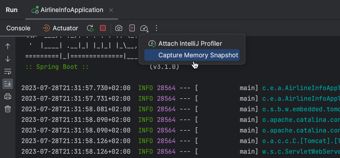 Create and open memory snapshots | IntelliJ IDEA Documentation