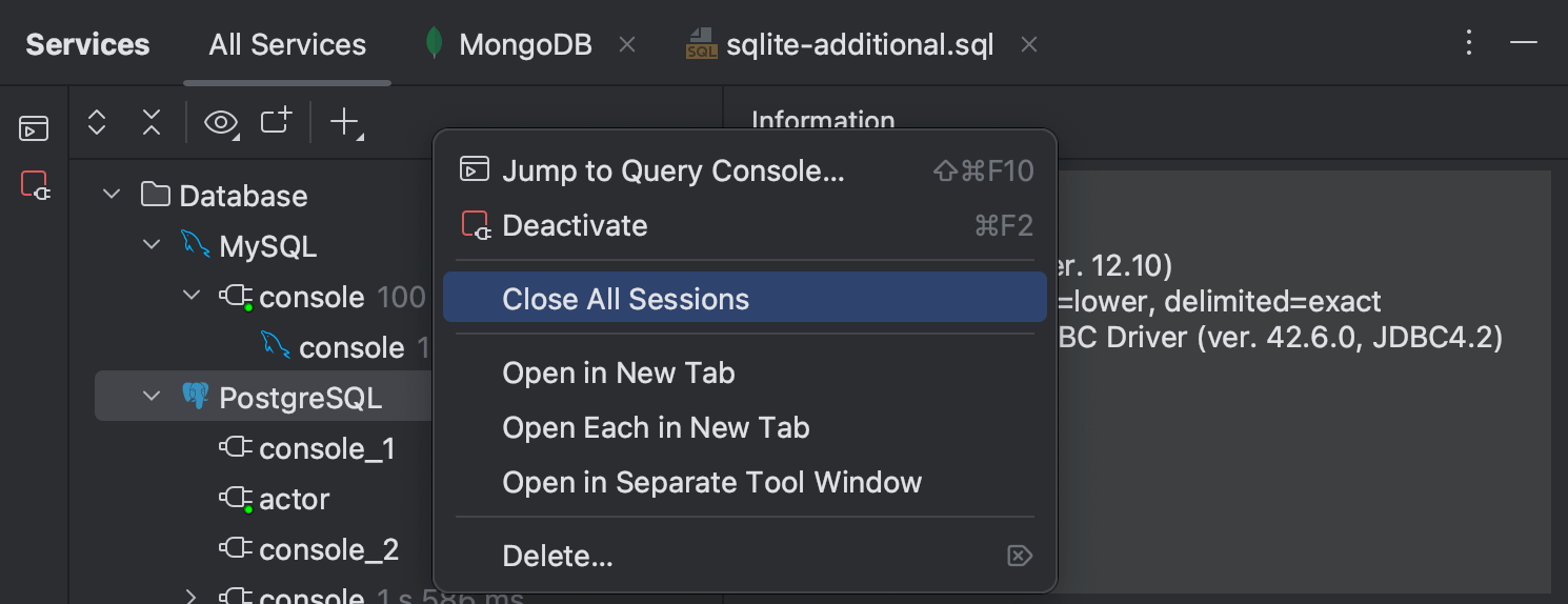 Sessions | IntelliJ IDEA Documentation