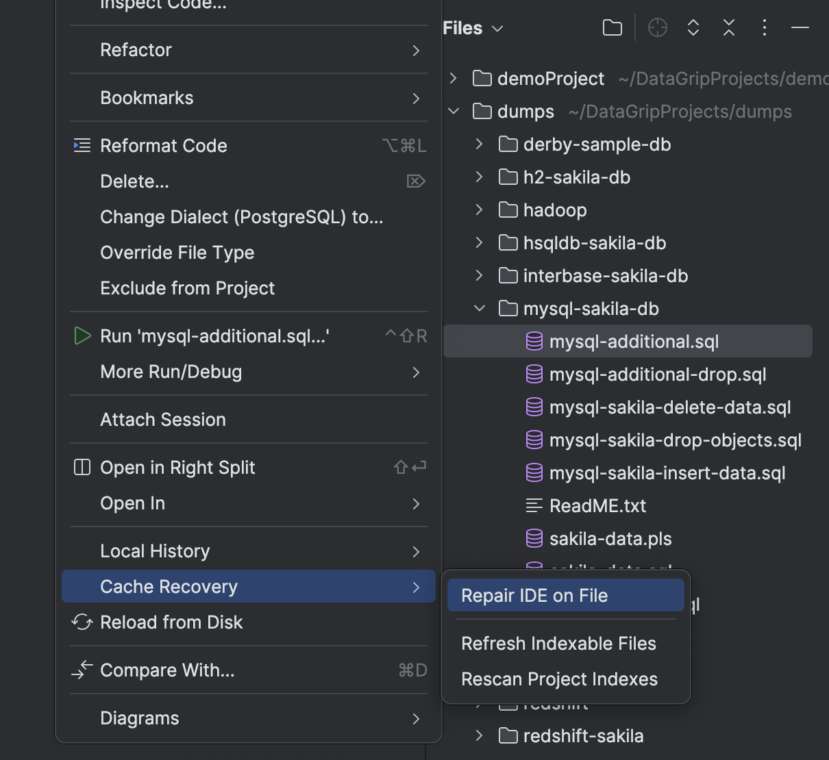 Repair IDE | DataGrip Documentation