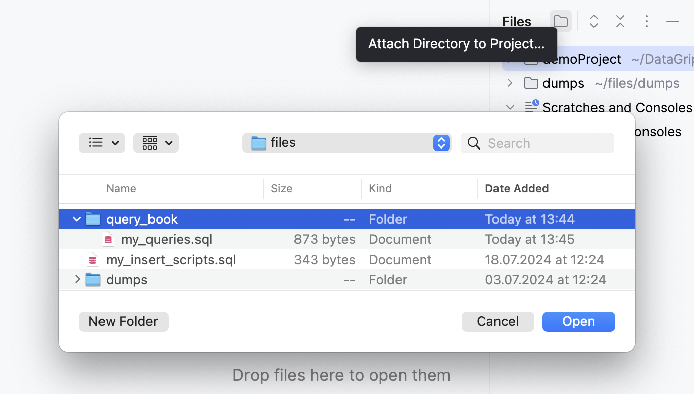 Use Files tool window | DataGrip Documentation