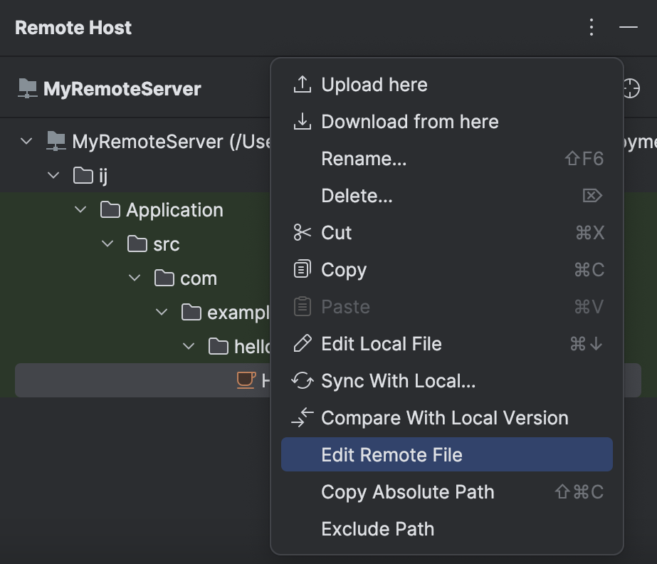 Edit individual files on remote hosts | IntelliJ IDEA Documentation