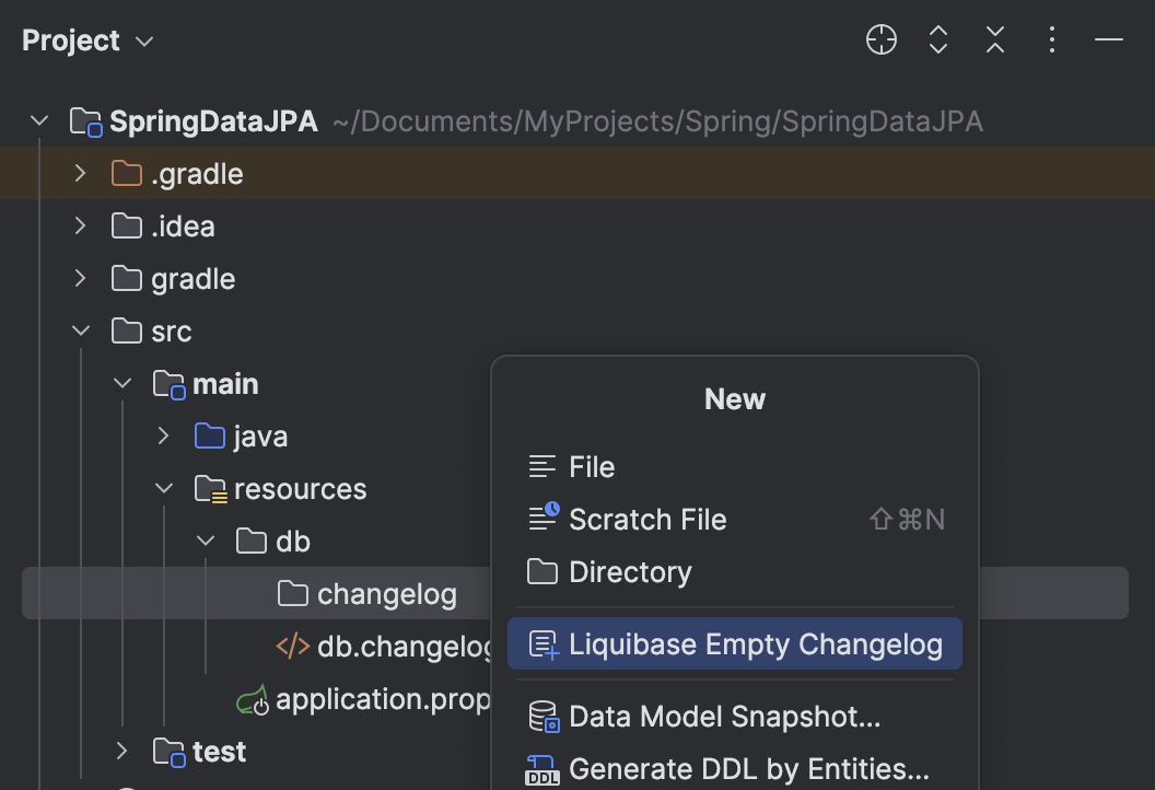 Liquibase | IntelliJ IDEA Documentation