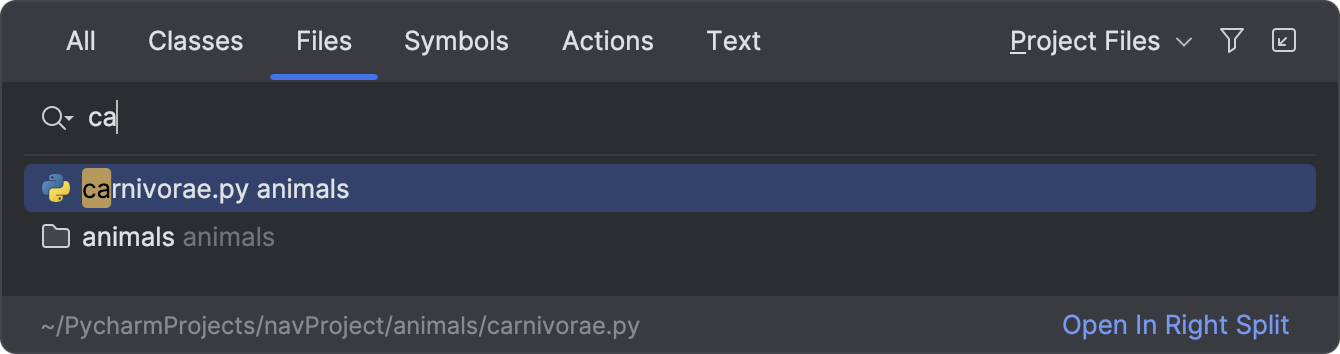Part 1. Find by name, recent usages, and searching everywhere | PyCharm Documentation