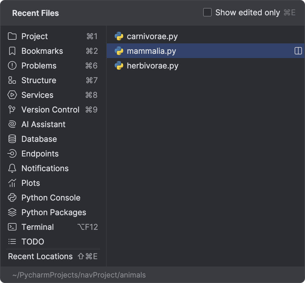 Open files in the editor | PyCharm Documentation