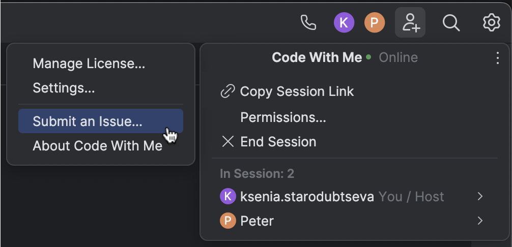 Getting started with Code With Me | RustRover Documentation