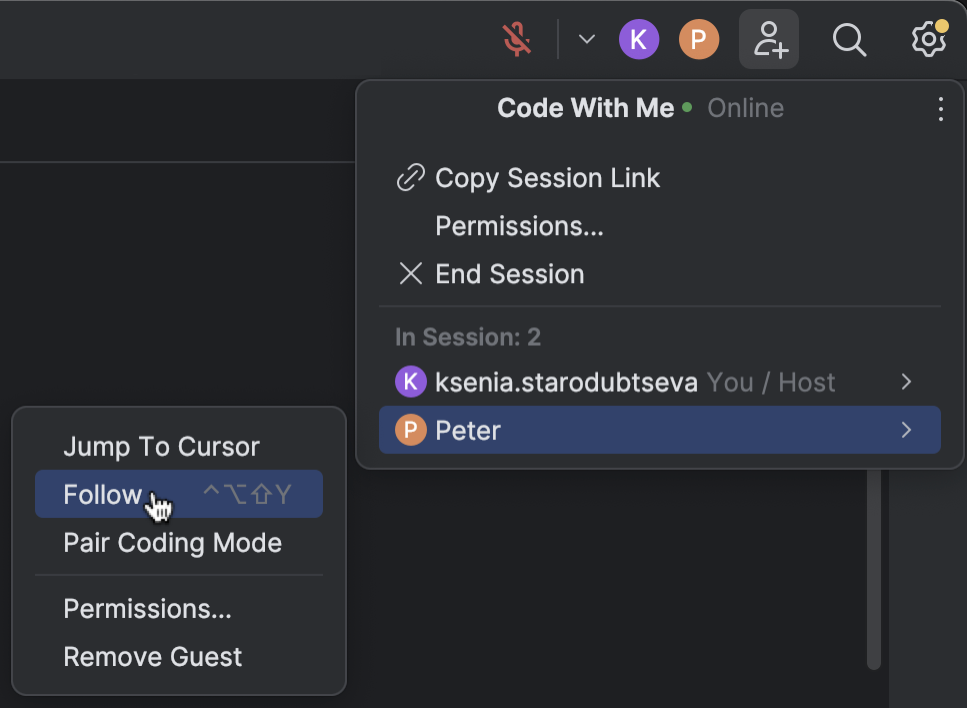 Getting started with Code With Me | RustRover Documentation