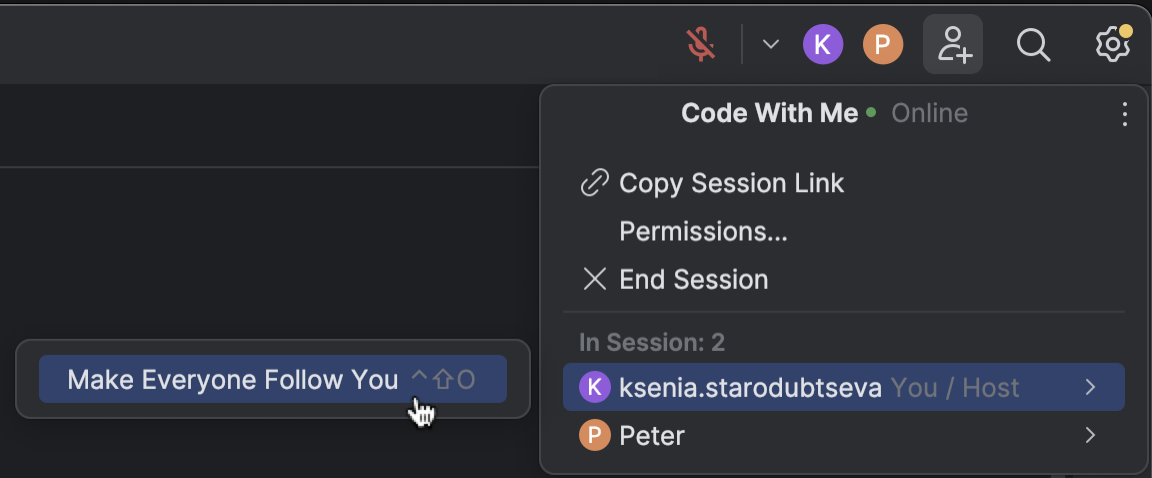 Getting started with Code With Me | RustRover Documentation
