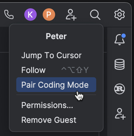 Getting started with Code With Me | RustRover Documentation