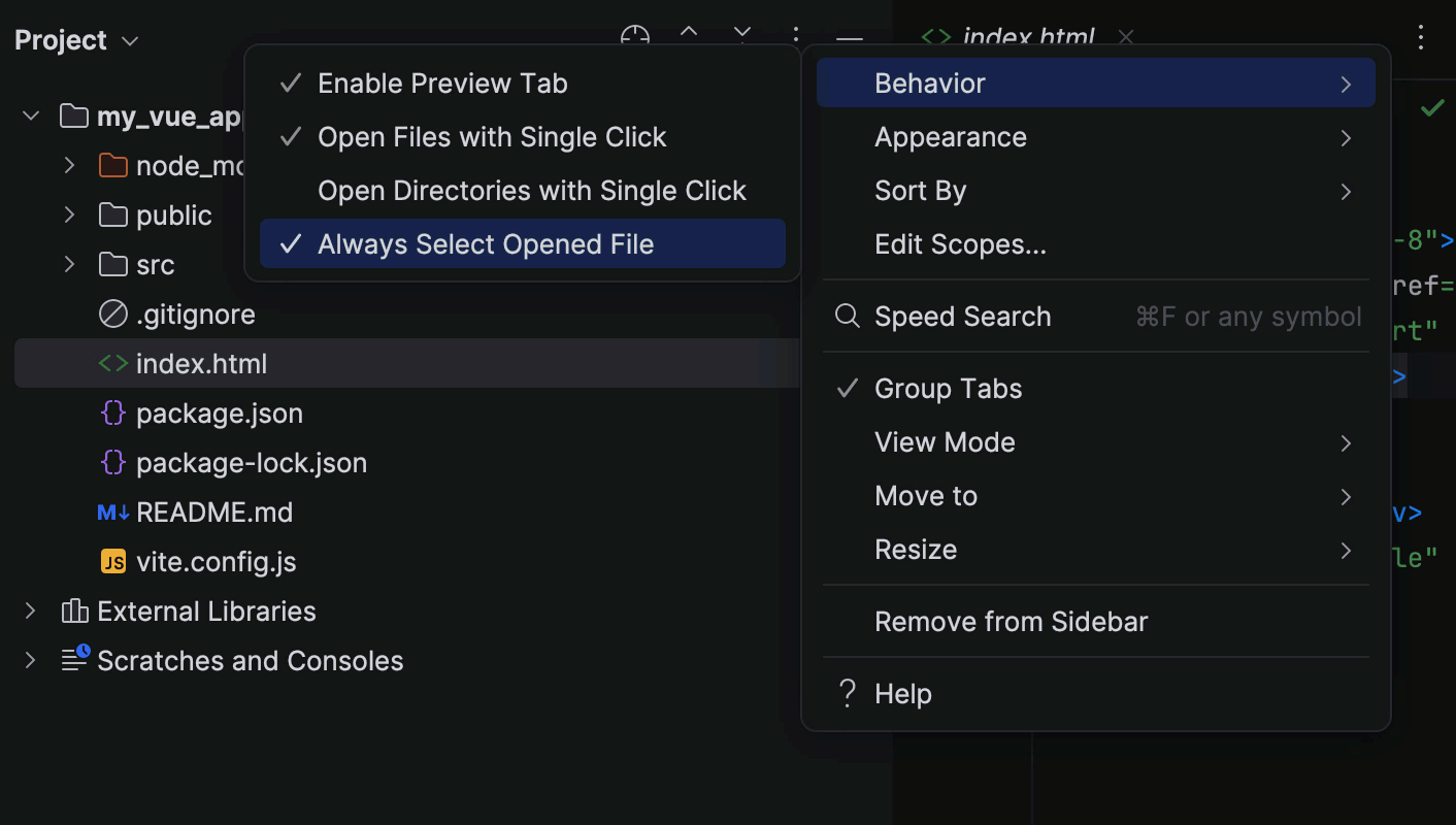 How to move from VS Code to WebStorm | WebStorm Documentation
